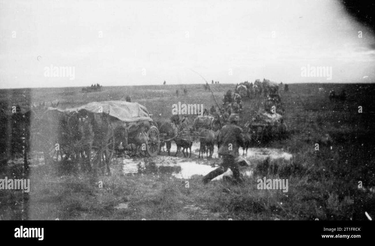 The Second Boer War, 1899-1902 Supply column of the British Army on the ...