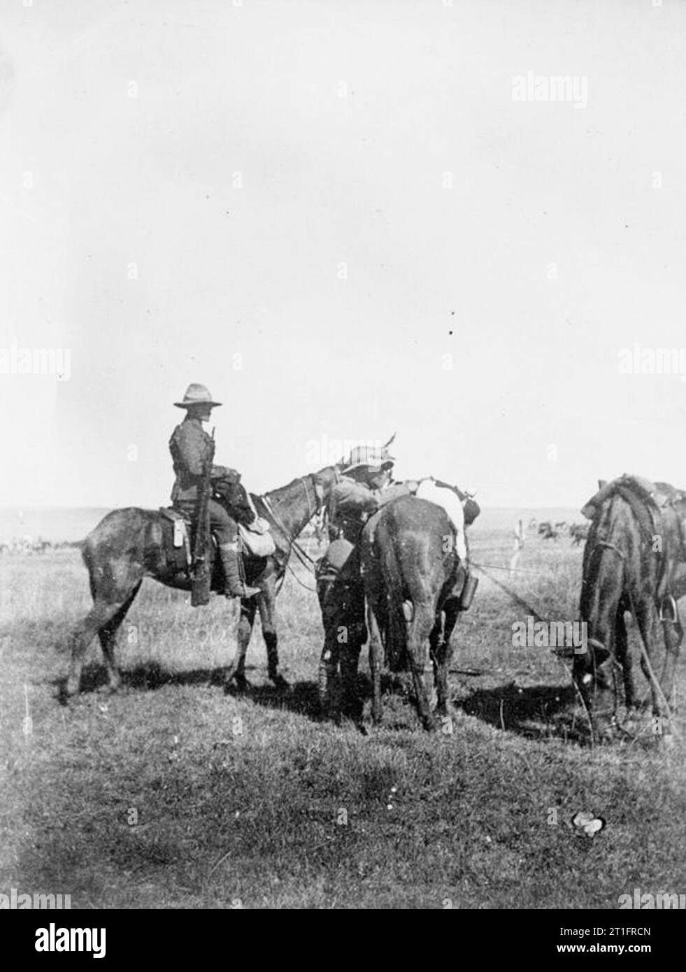 British boer war yeomanry hi-res stock photography and images - Alamy