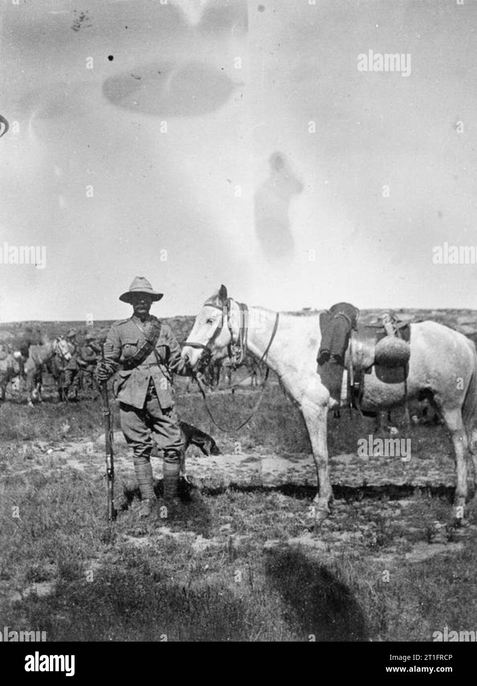 The Second Boer War, 1899-1902 Sergeant of one of the British mounted ...