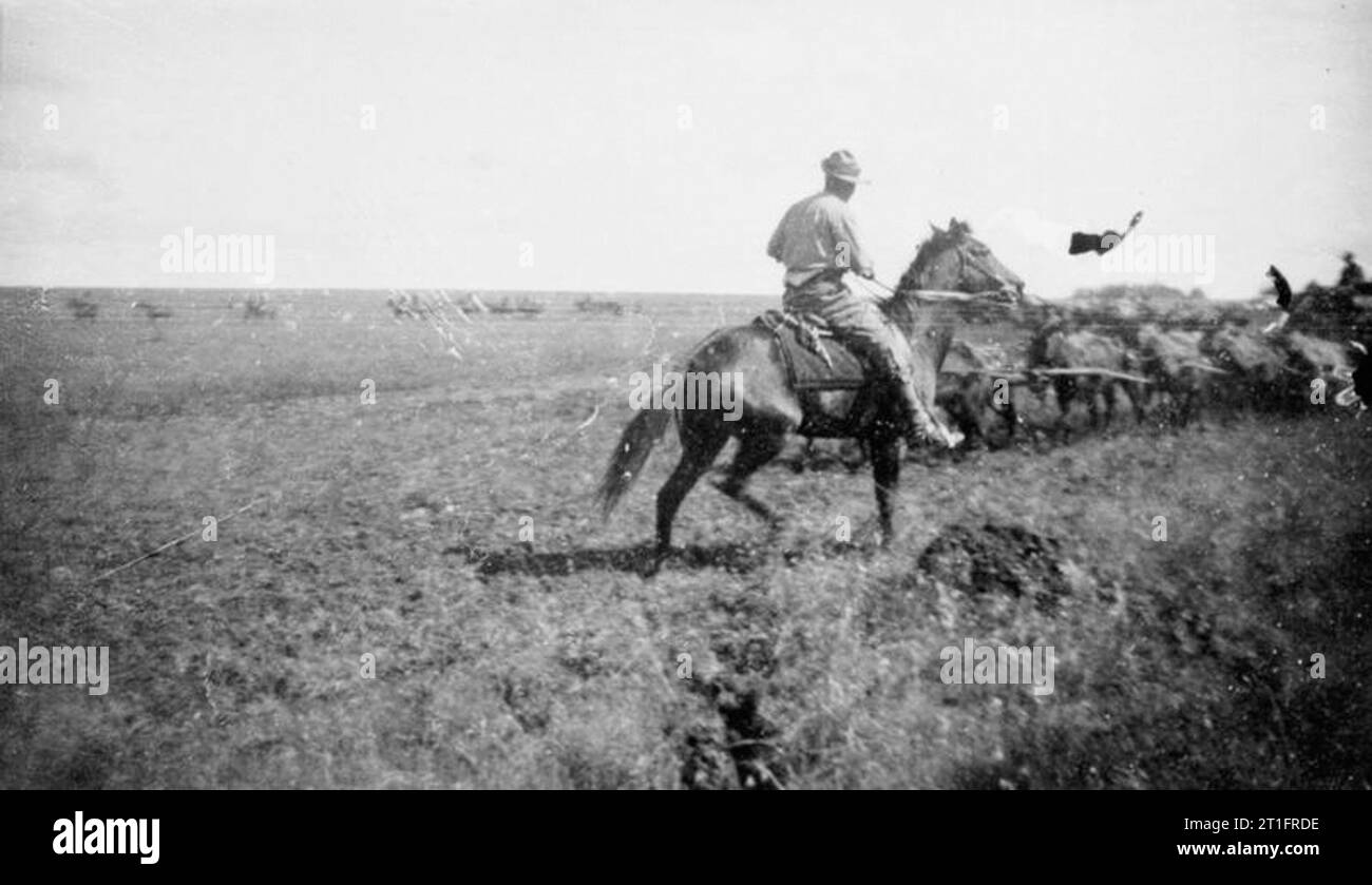 The Second Boer War, 1899-1902 Herd of cattle, probably livestock ...