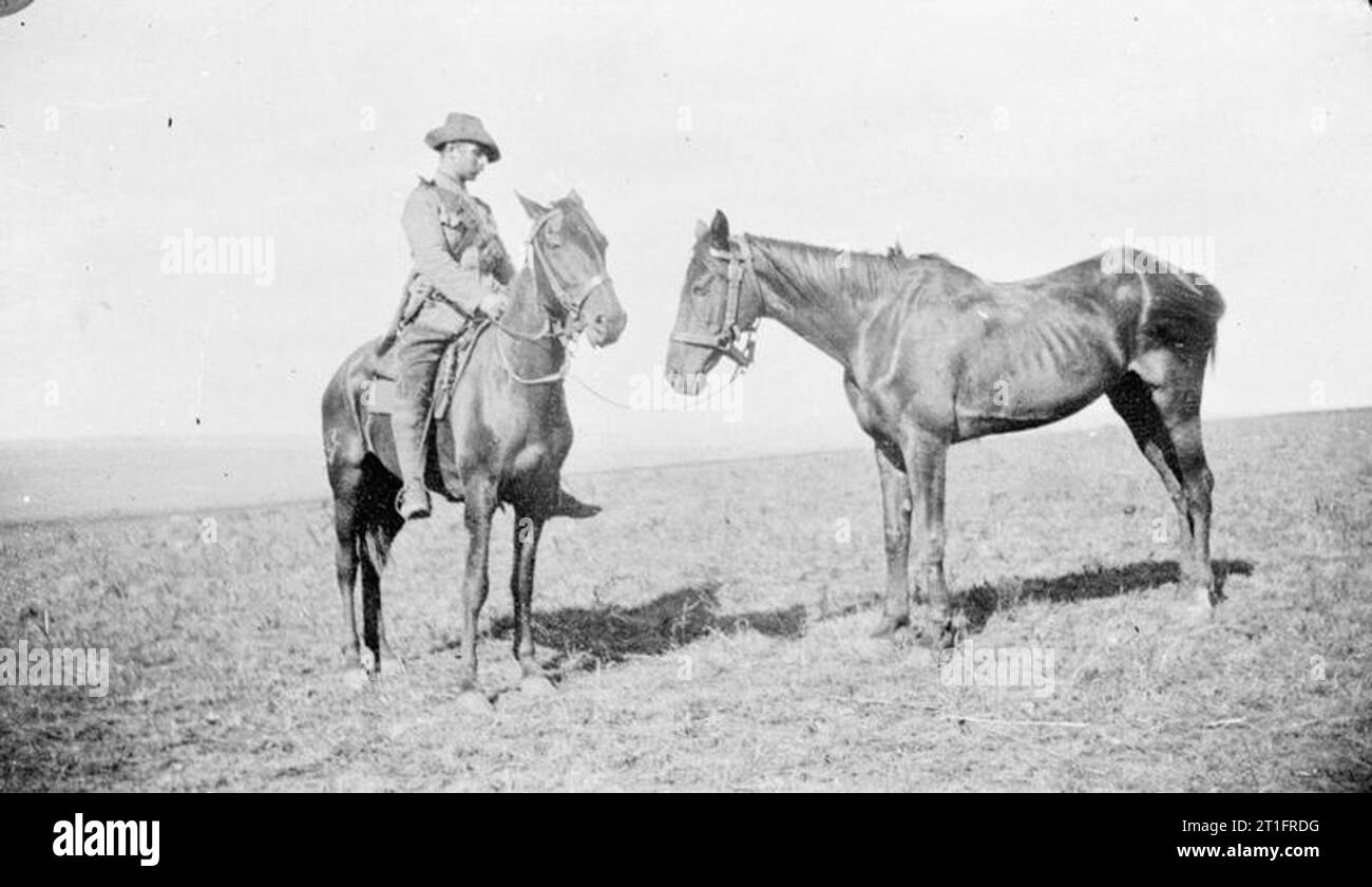 The Second Boer War, 1899-1902 Soldier of one of the yeomanry regiments ...
