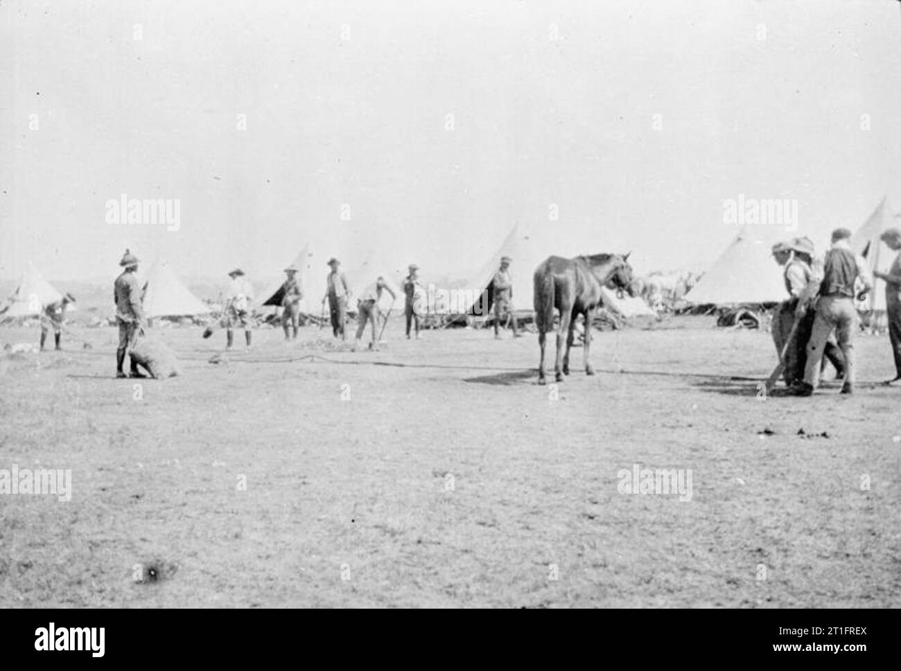 The Second Boer War, 1899-1902 Irregular volunteers, attached to one of ...