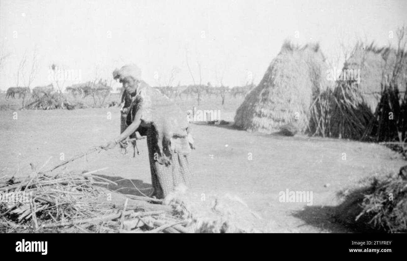 The Second Boer War, 1899-1902 Native African woman collecting firewood ...