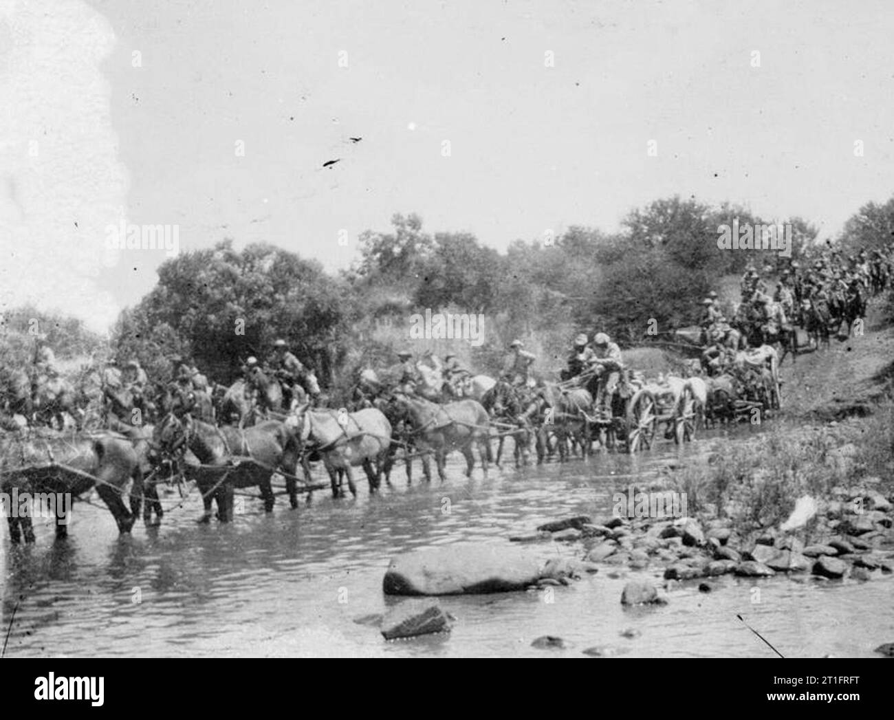 The Second Boer War, 1899-1902 British Army supply column crossing a ...