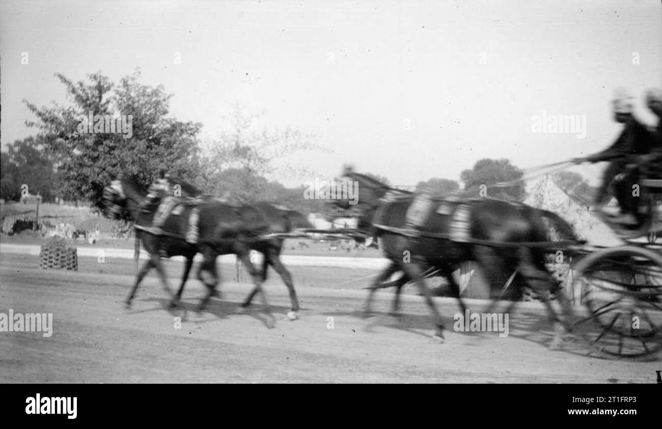 Horse cart on the move Black and White Stock Photos & Images - Alamy