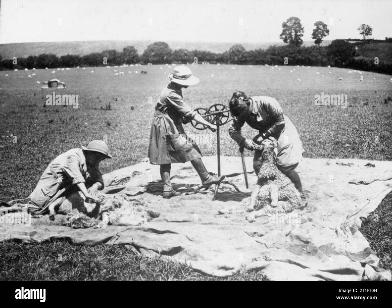 Agriculture in Britain during the First World War Members of the Women ...