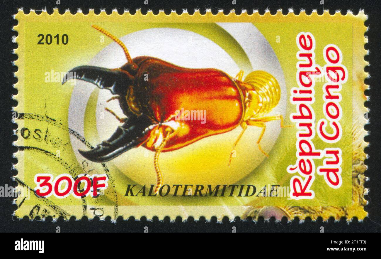 CONGO - CIRCA 2010: stamp printed by Congo, shows Termite, circa 2010 ...