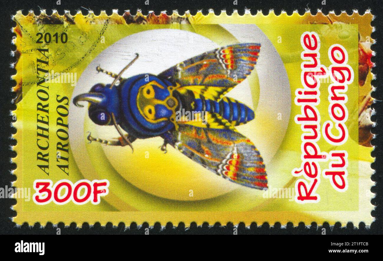 CONGO - CIRCA 2010: stamp printed by Congo, shows Death head Hawk moth ...
