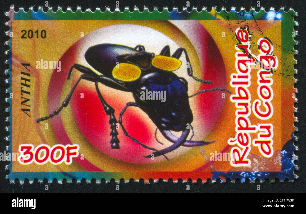 Anthia beetle hi-res stock photography and images - Alamy