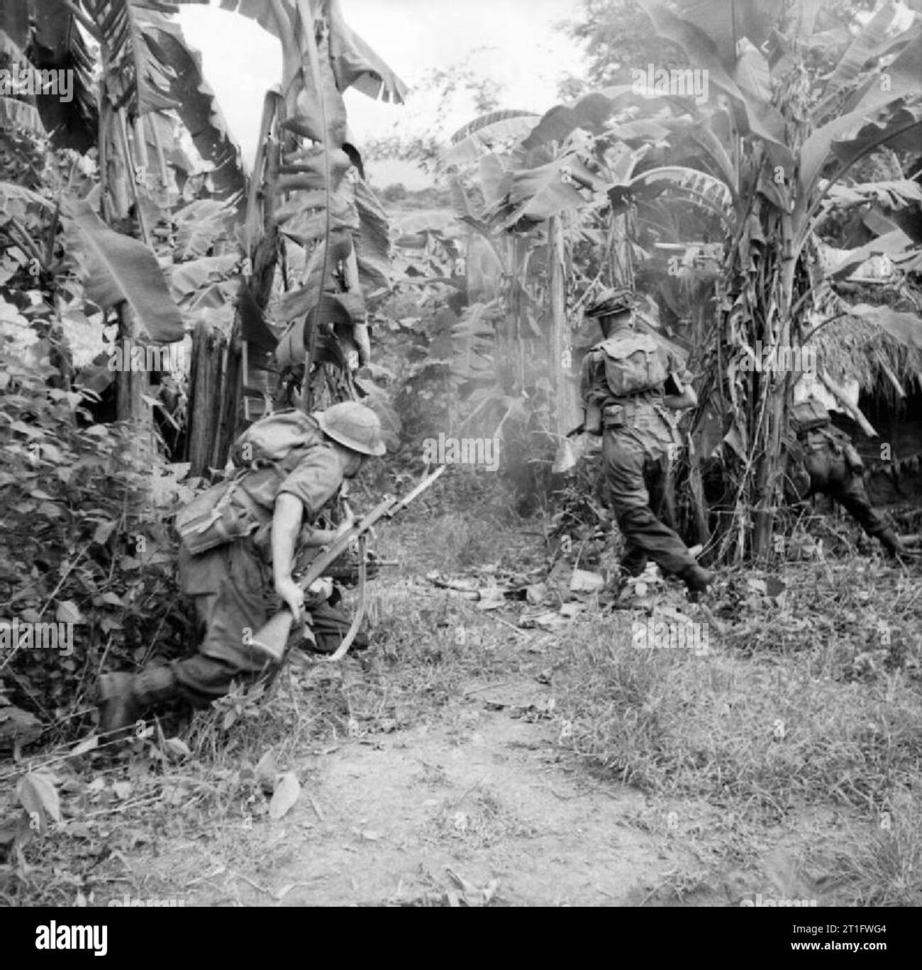 Men of the 36th Infantry Division advance through a banana grove in ...