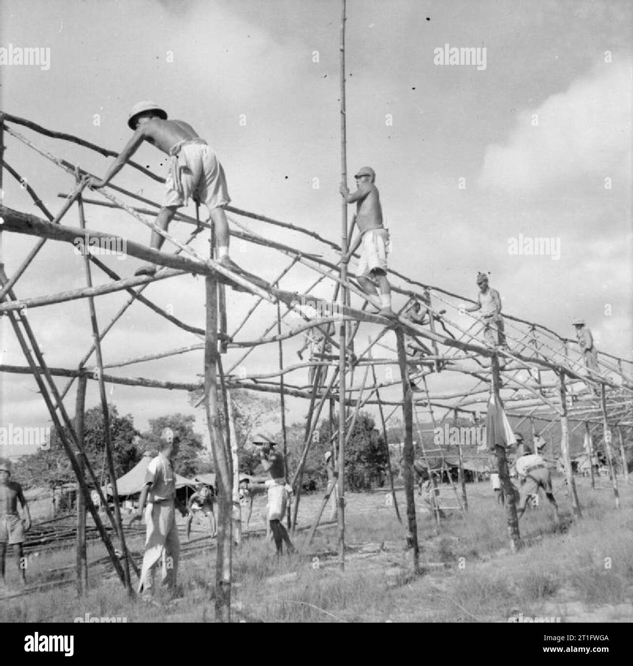 The Allied Reoccupation of French Indo-china Japanese prisoners of war ...