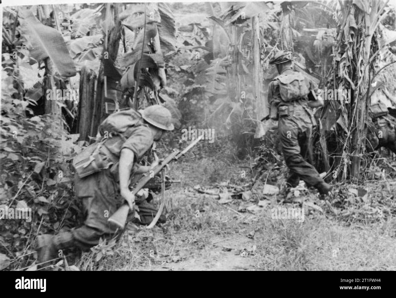 The British Army in Burma 1944 Troops attack a native 'basha' (bamboo hut) in a banana grove, 6 ...