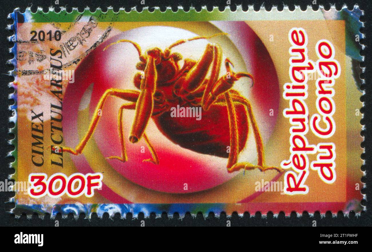 CONGO - CIRCA 2010: stamp printed by Congo, shows Bed bug, circa 2010 ...