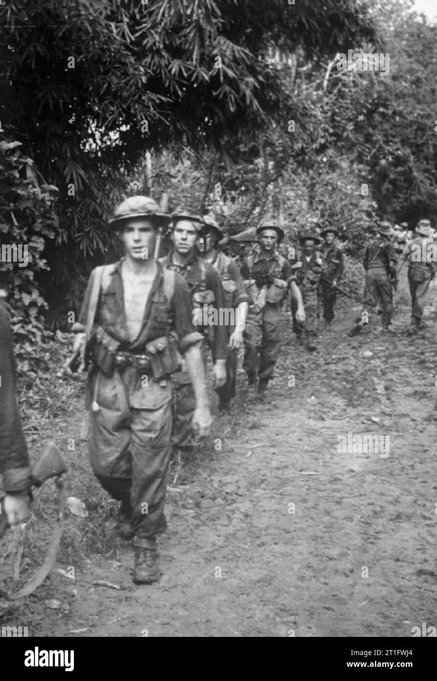 The British Army in Burma 1944 British troops marching through the jungle, 1944 Stock Photo - Alamy