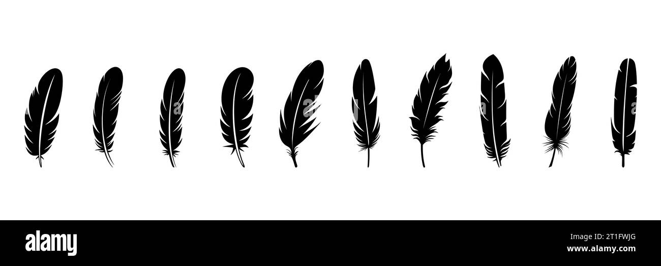 Feather Set icon, logo isolated on white background. Vector ...