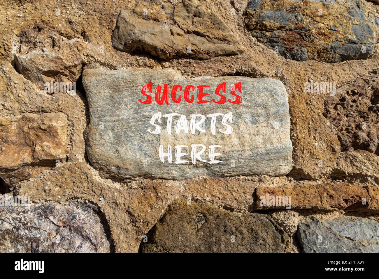 Success starts here symbol. Concept word Success starts here on beautiful big stone. Stone wall ...