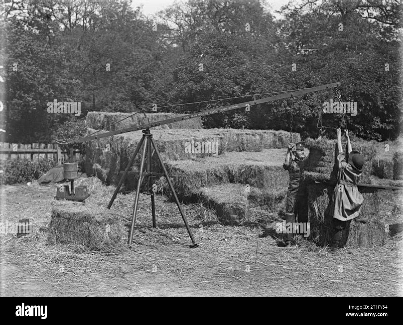 Agriculture in Britain during the First World War Members of the Women ...