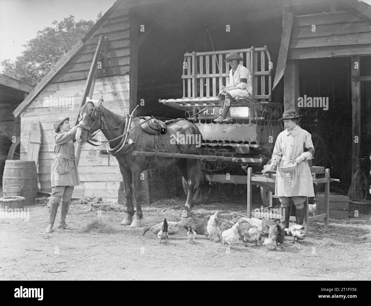 Agriculture in Britain during the First World War Members of the Women ...