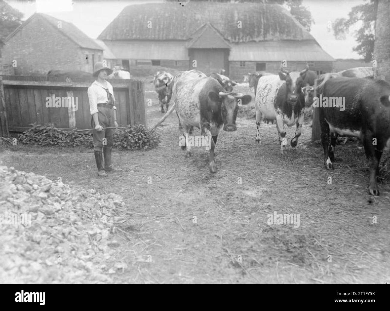 Agricultural labourer hi-res stock photography and images - Alamy