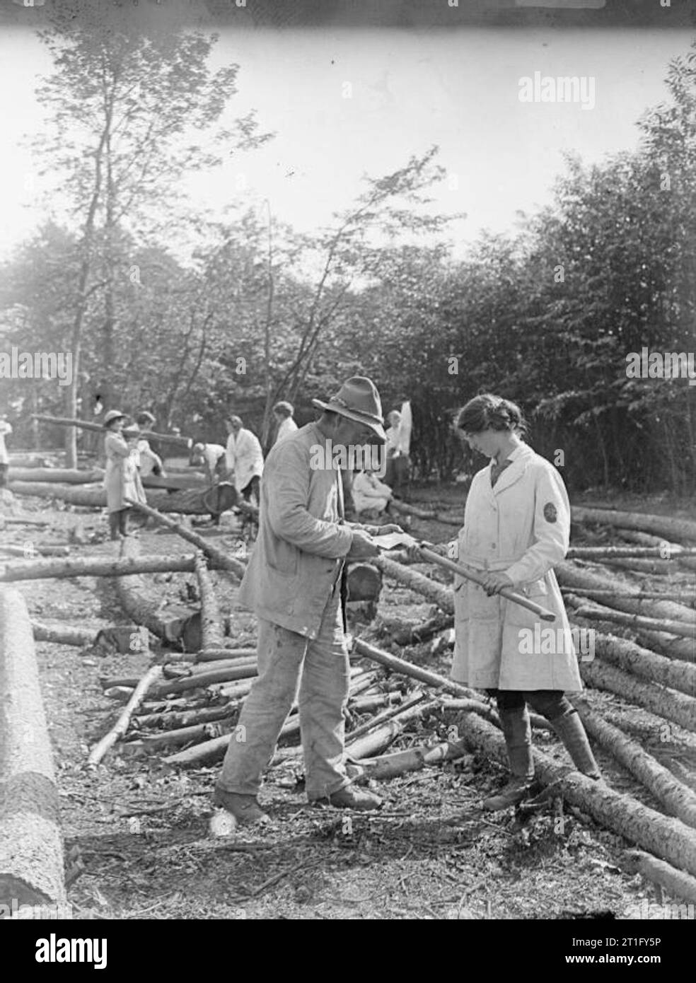 Agriculture In Britain During The First World War A Member Of The Womens Land Army Forestry