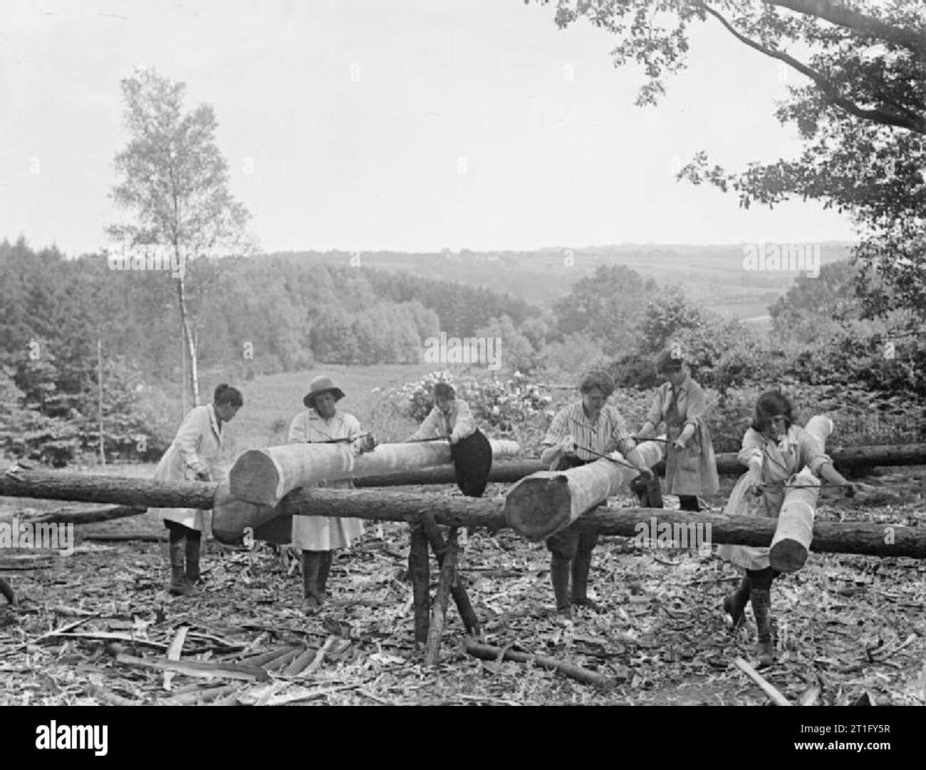 Agriculture in Britain during the First World War Members of the Women ...