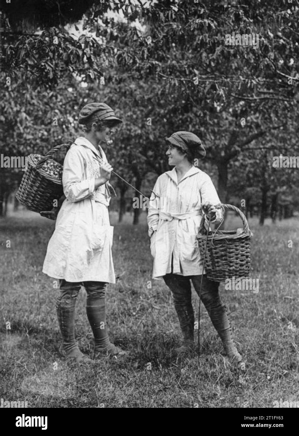 Agriculture in Britain during the First World War Female fruit pickers ...