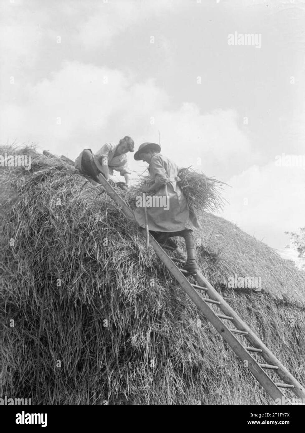Agriculture in Britain during the First World War Female agricultural ...