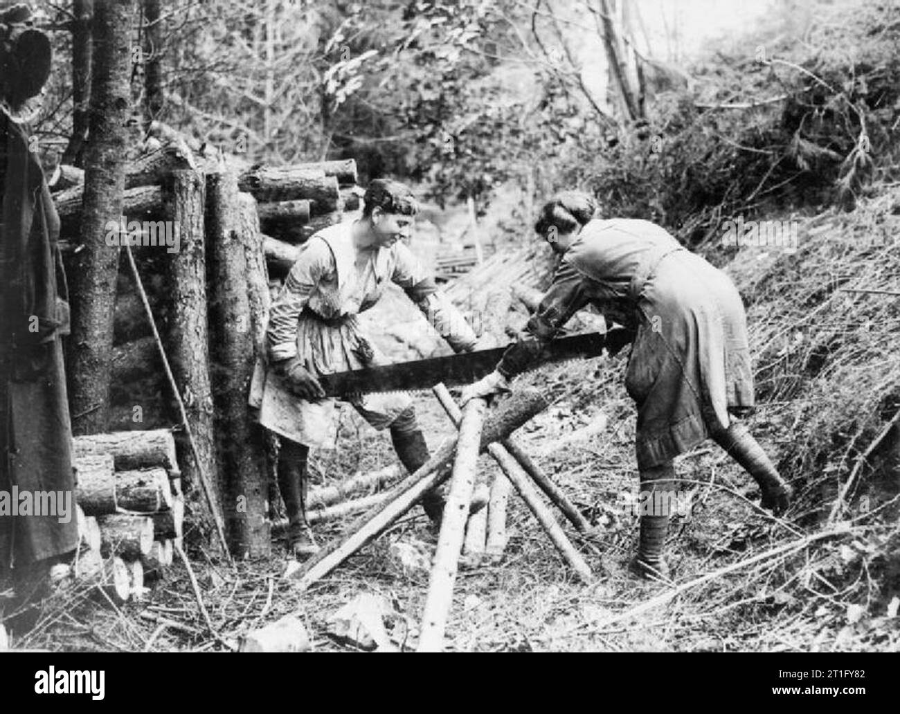 Agriculture in Britain during the First World War Miss Broderick and ...