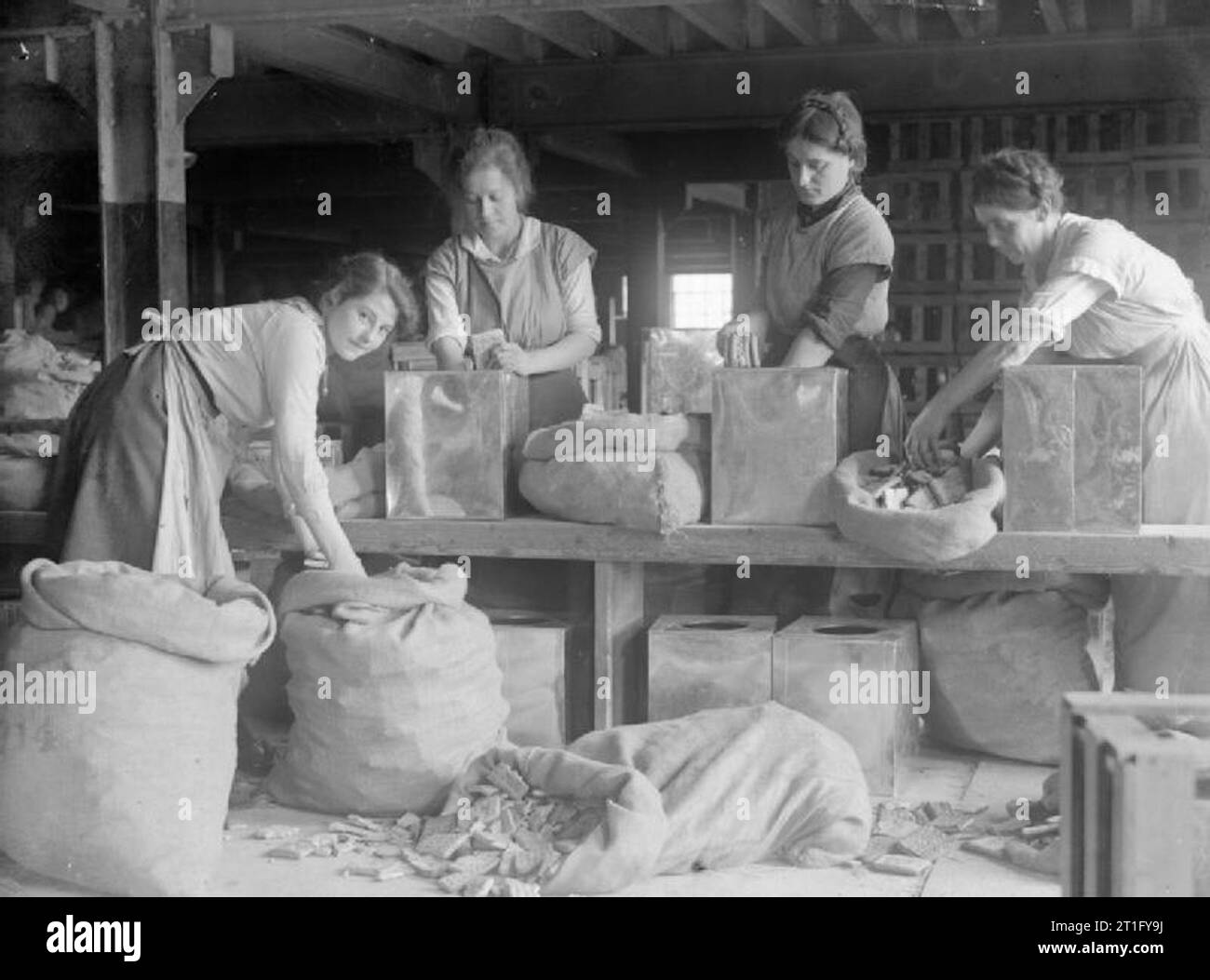 Industry during the First World War Female workers pack army biscuits ...