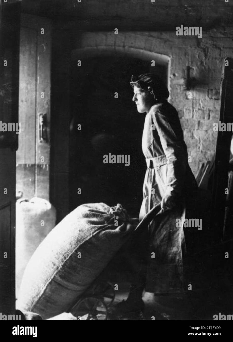 Industry during the First World War- Flour Mill A female worker pushes ...