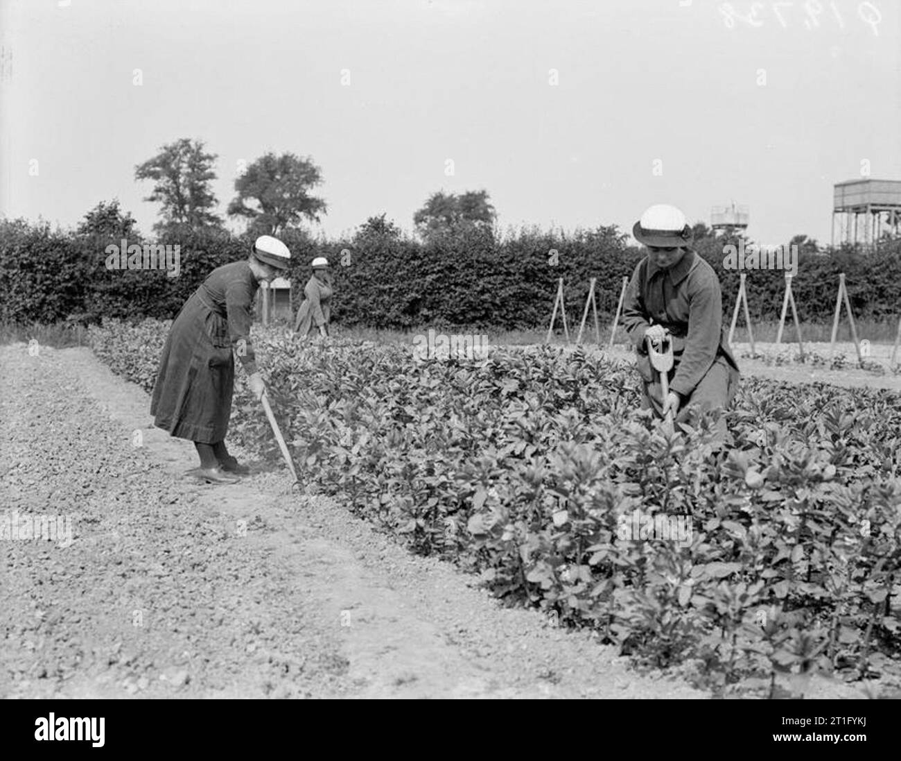 The Women's Royal Naval Service during the First World War in the ...