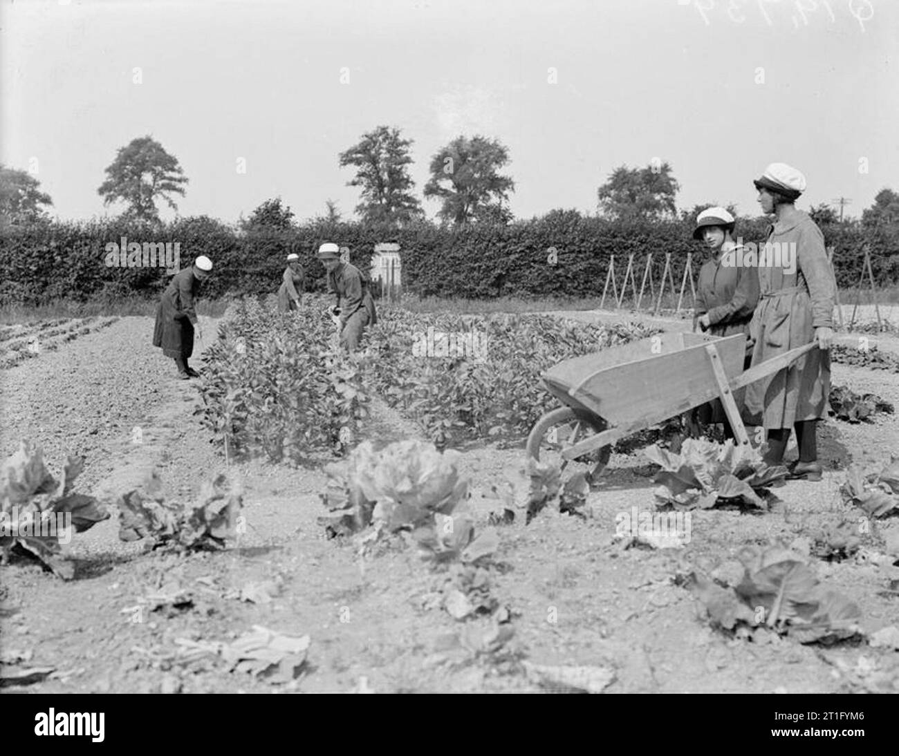 The Women's Royal Naval Service during the First World War in the ...