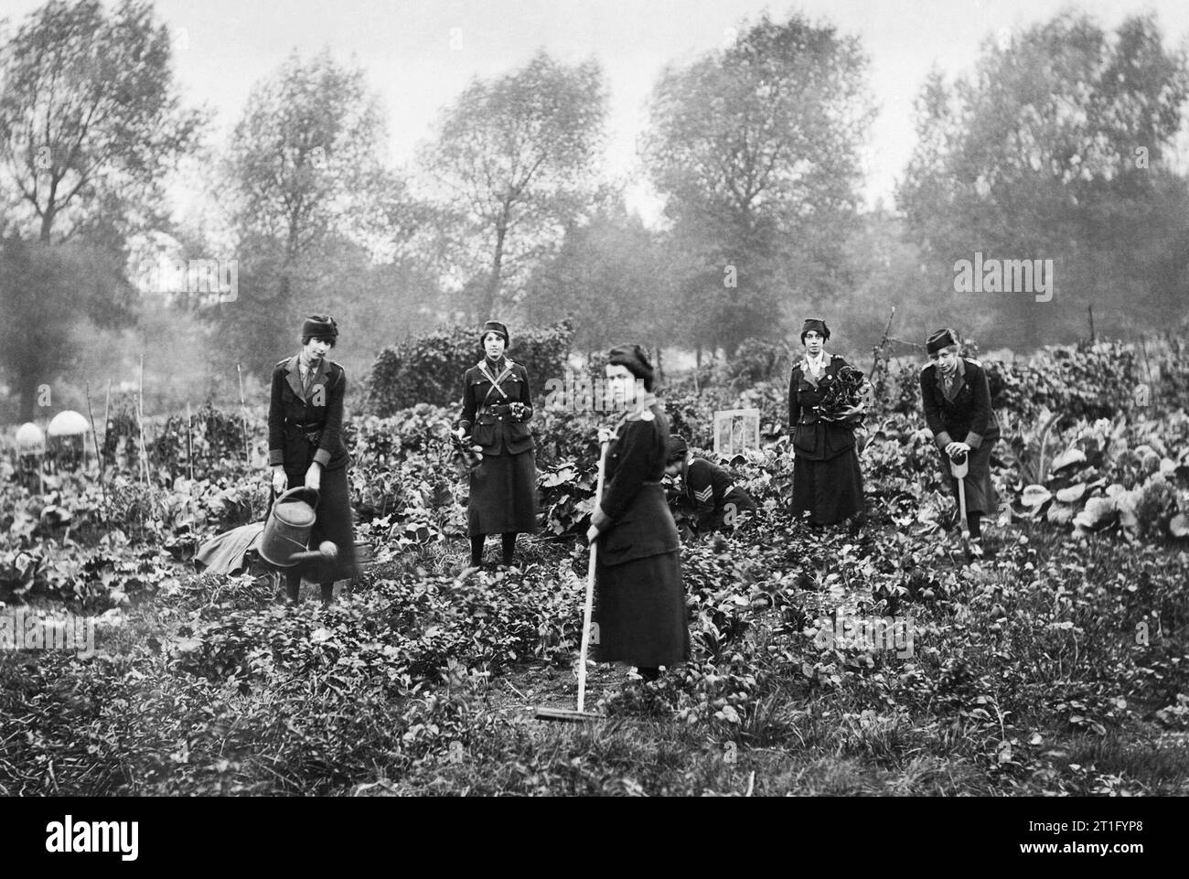 Women at work during the First World War Members of the Women's Auxiliary Force (WAF) working on ...