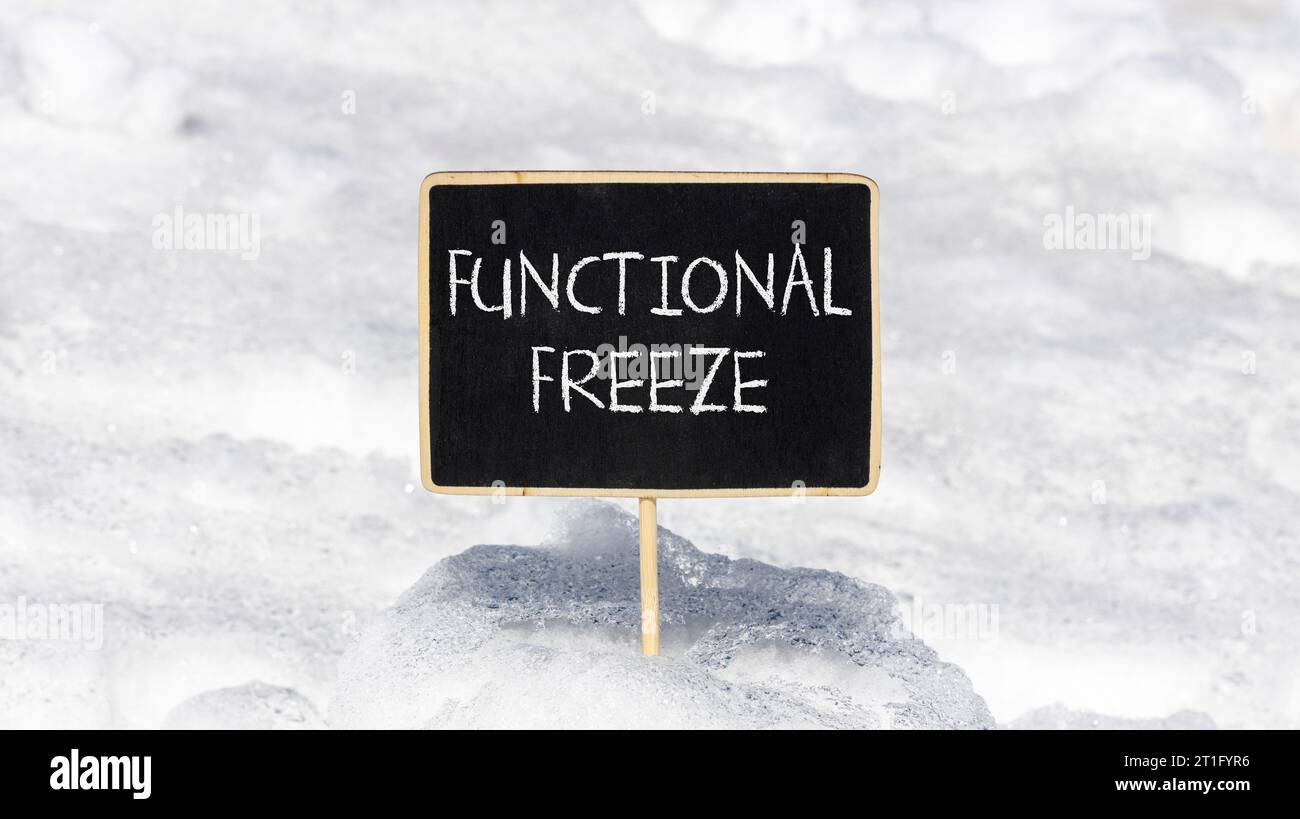 Functional freeze symbol. Concept words Functional freeze on beautiful ...