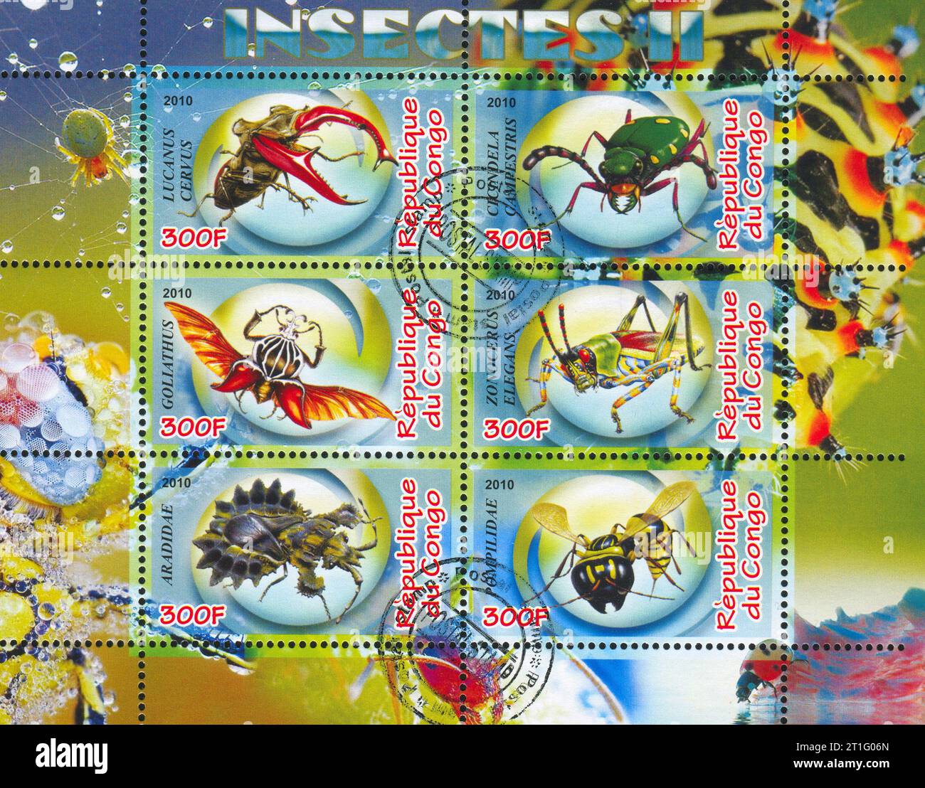 CONGO - CIRCA 2010: stamp printed by Congo, shows insects, circa 2010 ...