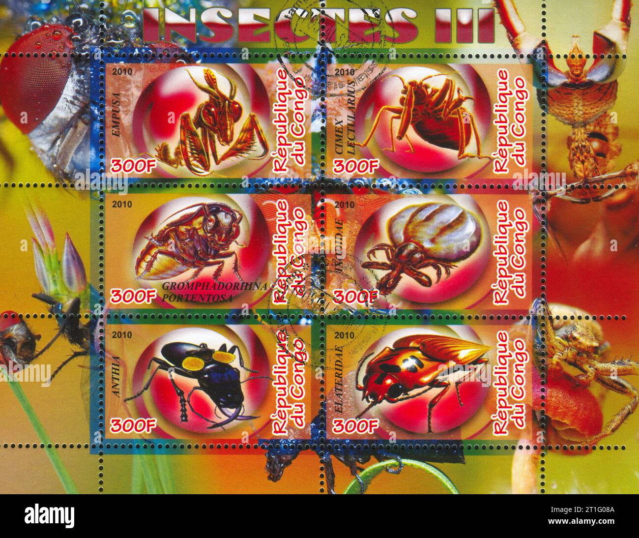 CONGO - CIRCA 2010: stamp printed by Congo, shows insects, circa 2010 ...