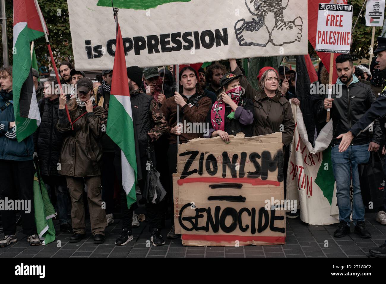 Dublin, Ireland. 13th Oct, 2023. A group of protesters and activists ...