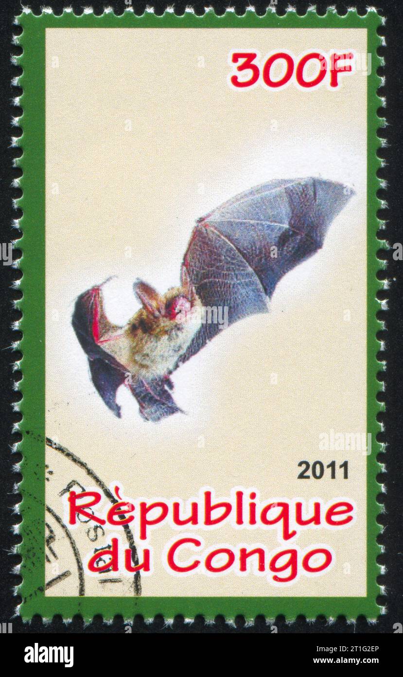CONGO - CIRCA 2011: stamp printed by Congo, shows Bat, circa 2011 Stock ...