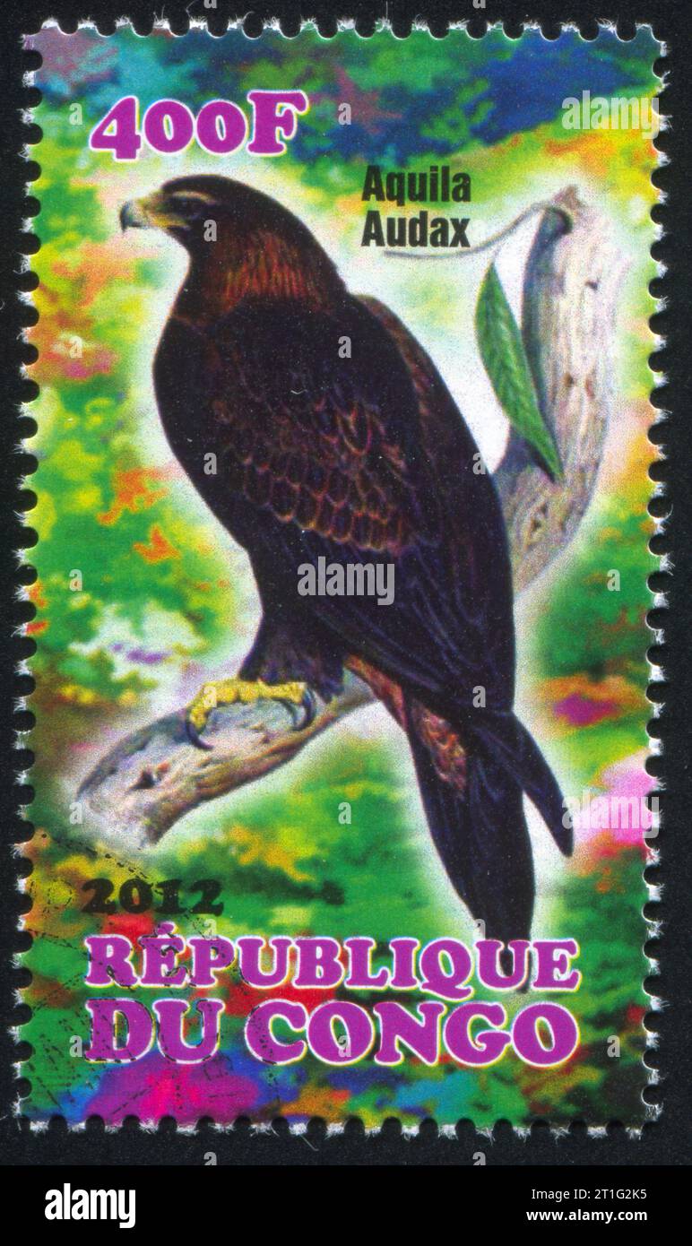 CONGO - CIRCA 2012: stamp printed by Congo, shows Wedge-tailed Eagle ...