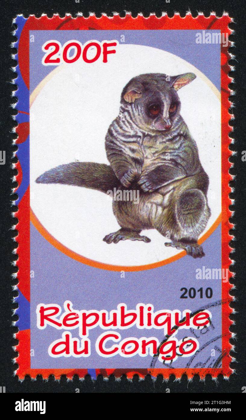 CONGO - CIRCA 2010: stamp printed by Congo, shows Galago, circa 2010 ...