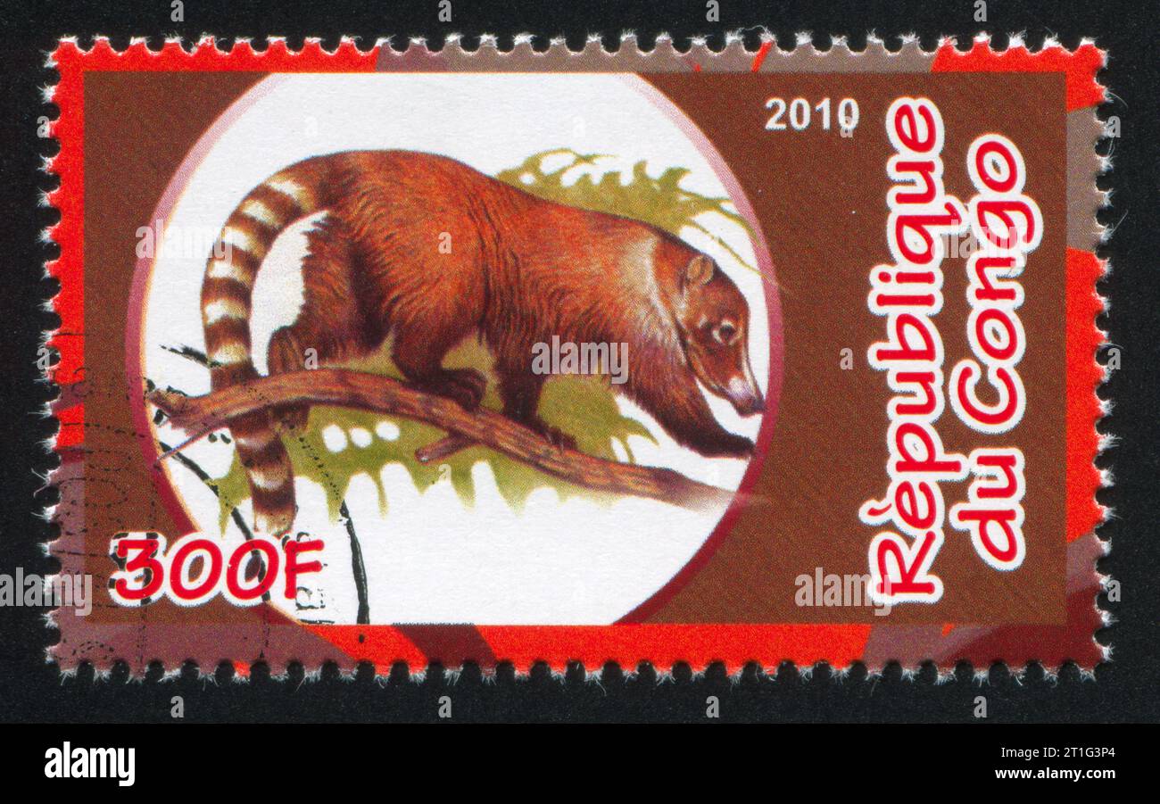 CONGO - CIRCA 2010: stamp printed by Congo, shows Coati, circa 2010 ...