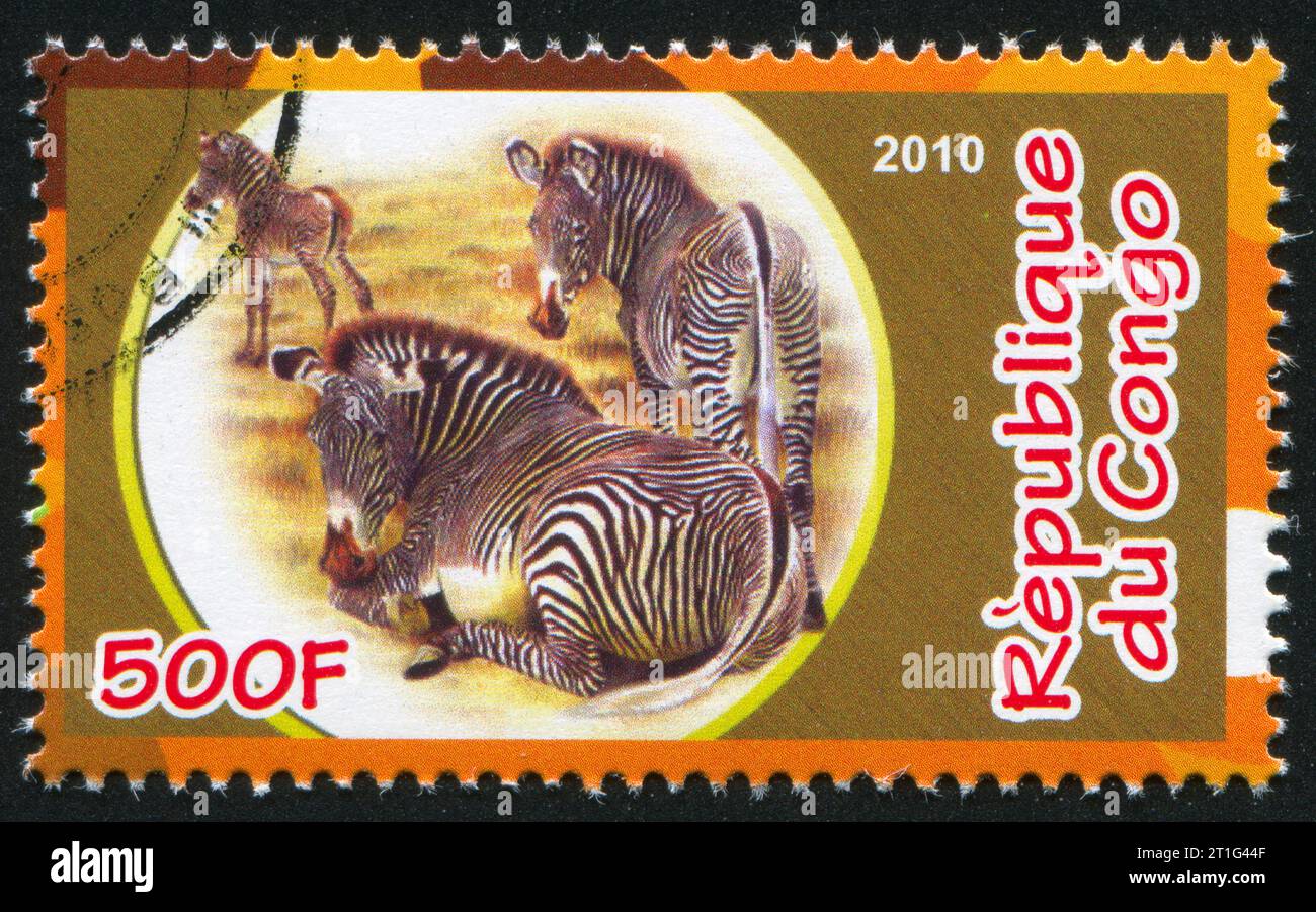 CONGO - CIRCA 2010: stamp printed by Congo, shows Zebra, circa 2010 ...