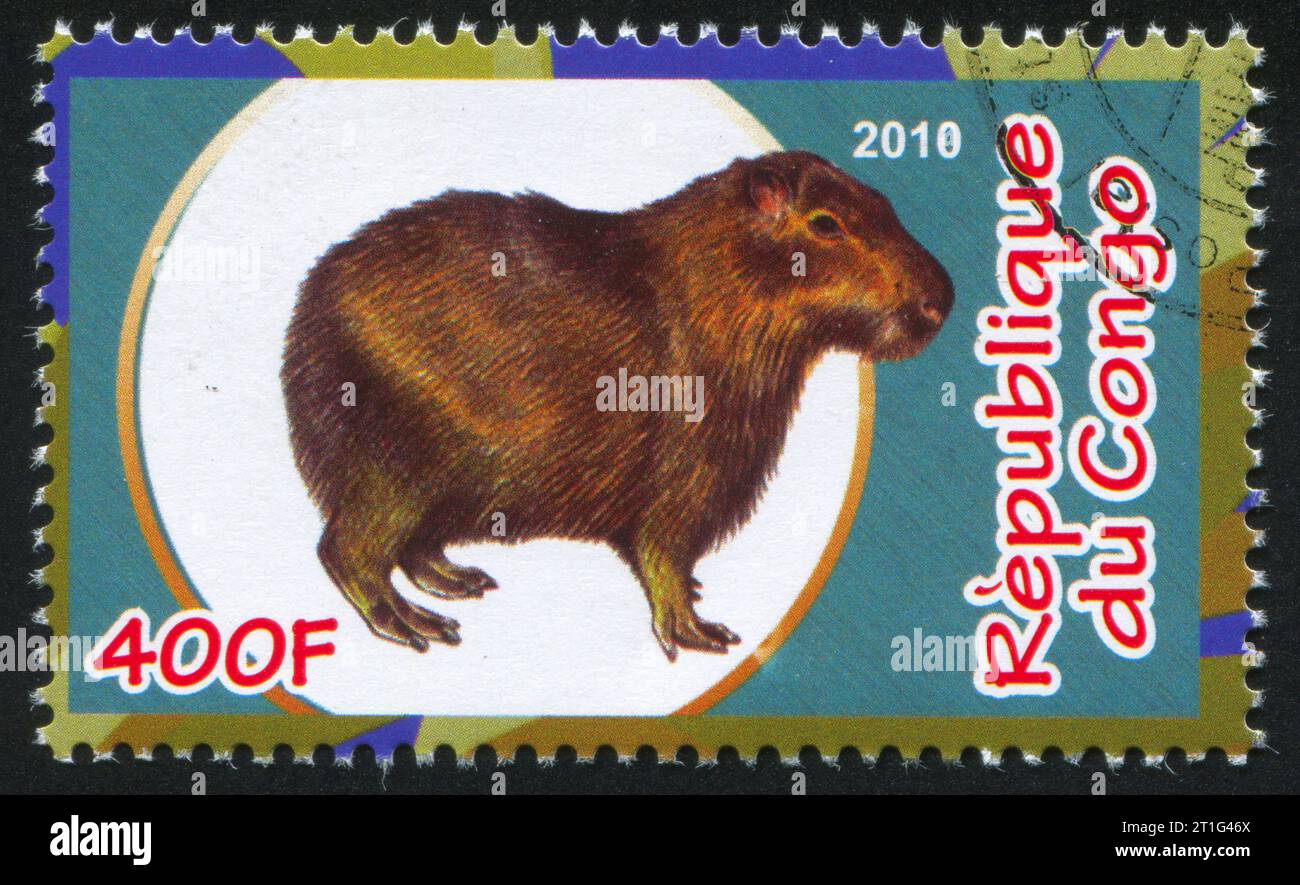 CONGO - CIRCA 2010: stamp printed by Congo, shows Capybara, circa 2010 ...