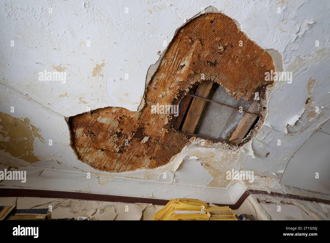 Water damaged ceiling in an old abandoned building Stock Photo - Alamy