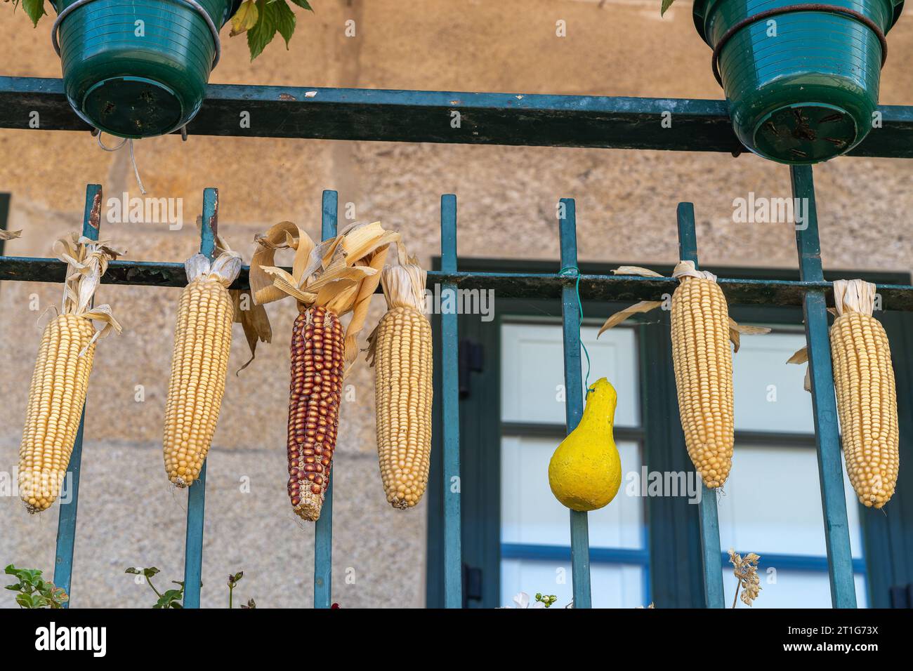 Colorful balcony in the beautiful fishing village of Combarro, in ...