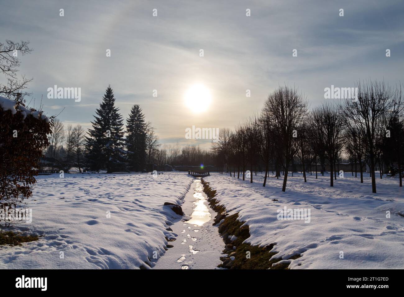 Beautiful winter photo of snow-covered Brukenthal Park in Avrig and ...