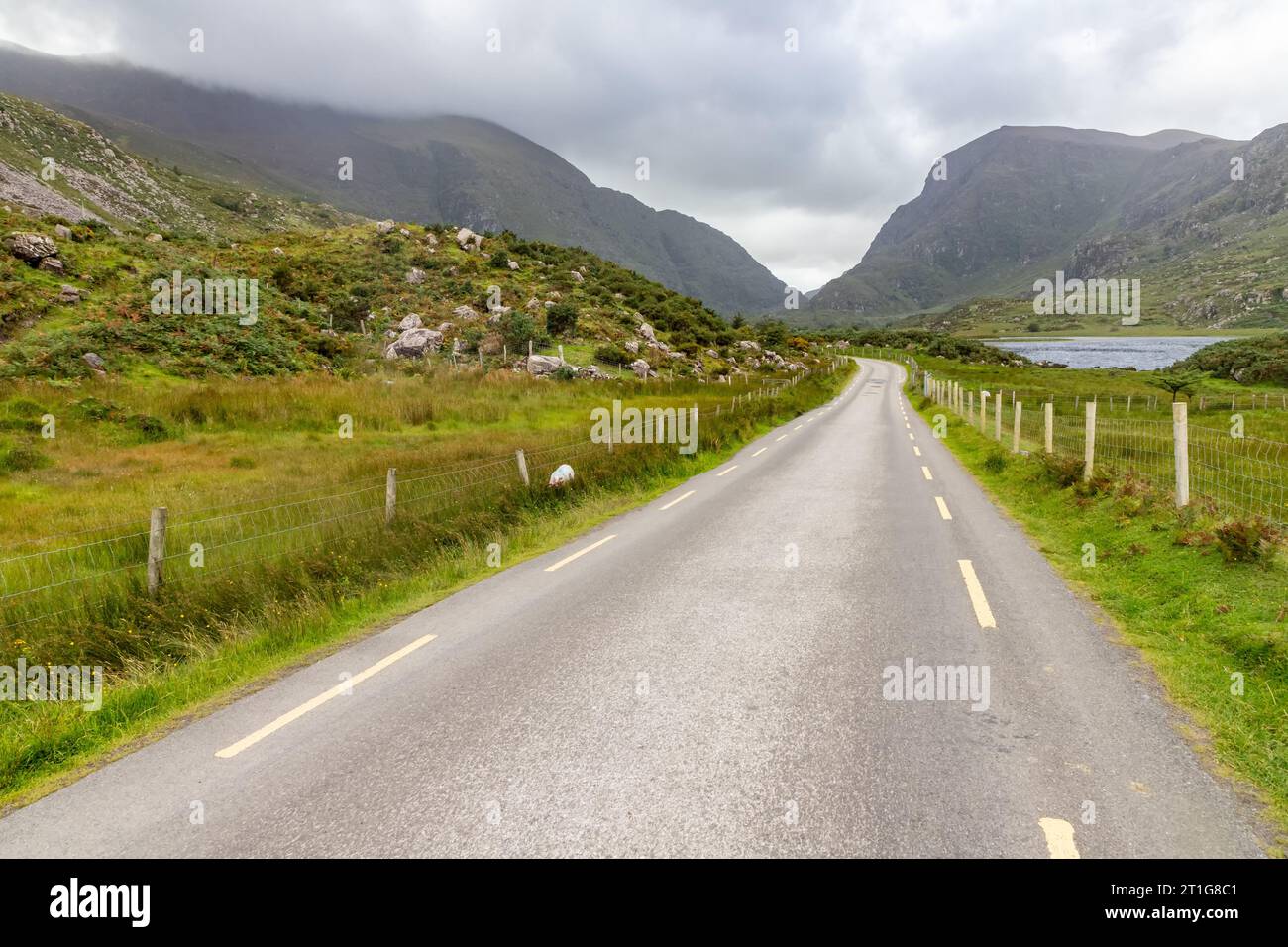 Road and mountains at Gap of Dunloe with rocks and vegetation ...