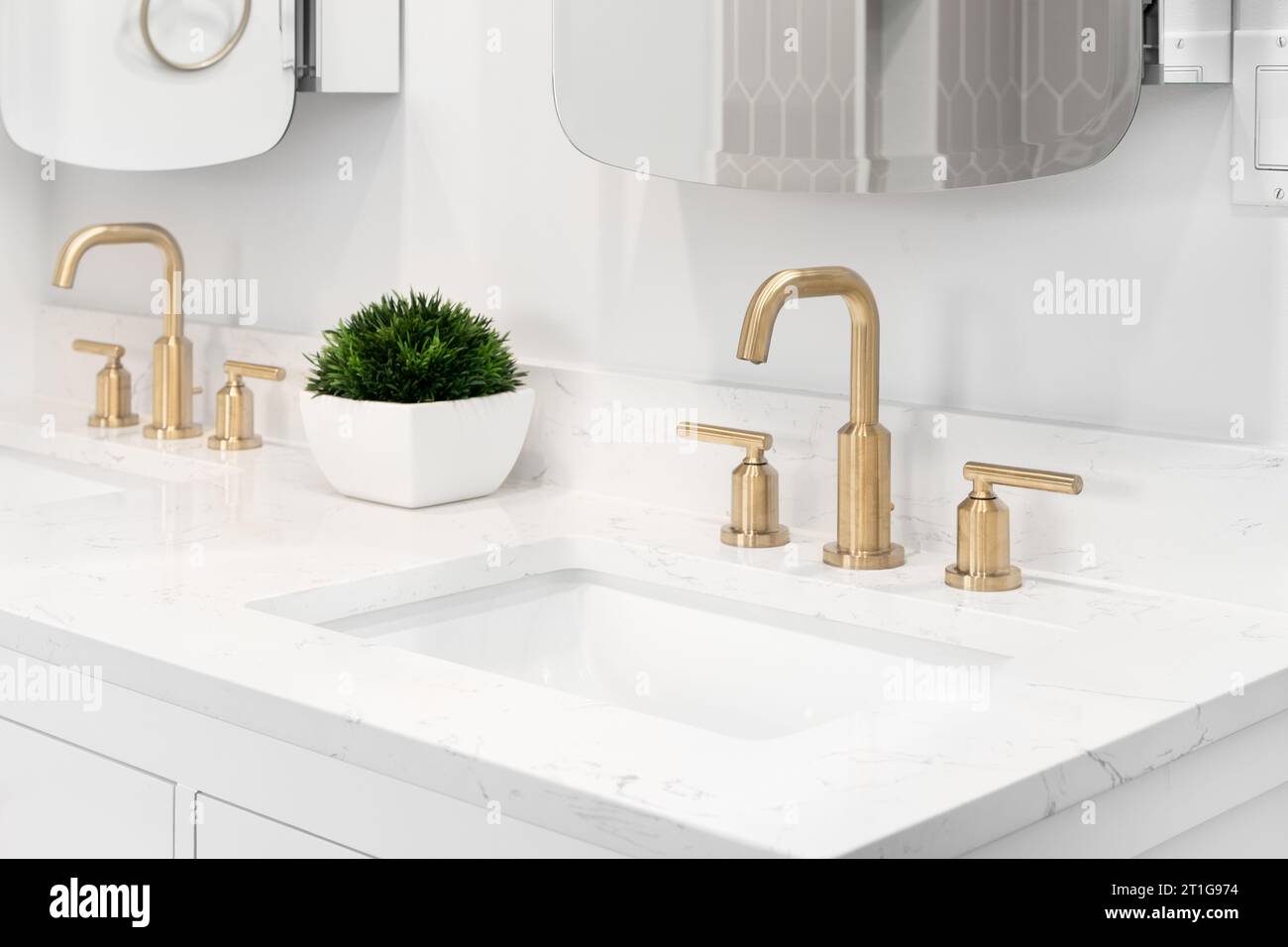 A bathroom with gold faucets, white vanity cabinet, a plant sitting on ...