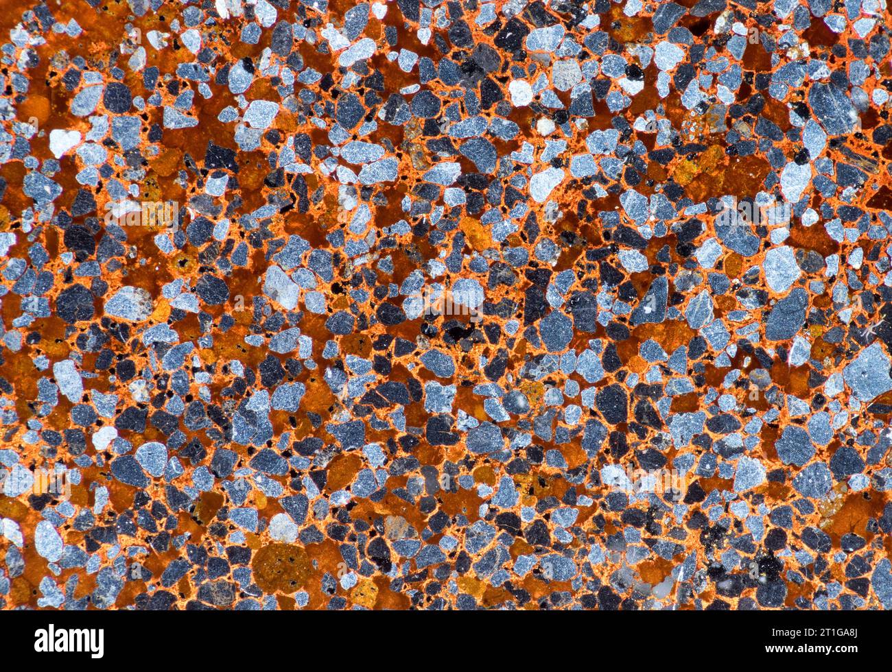 Sedimentary limestone, Loch Torridon, Scotland, quartz, limonite ...