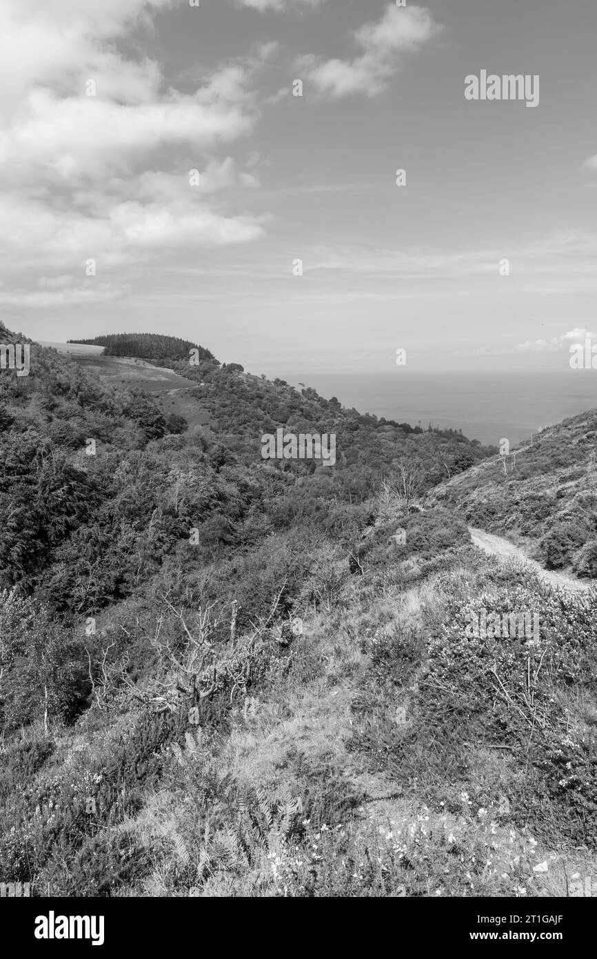 Exmoor national park and people Black and White Stock Photos & Images ...
